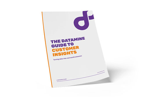 Datamine Guides - Data management, customer insights, AI and more